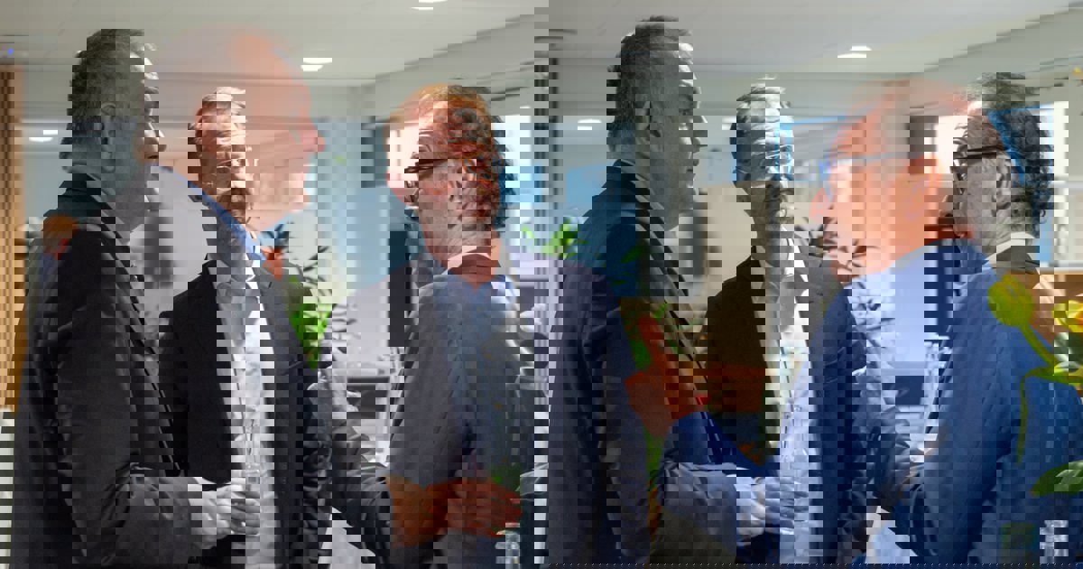 WDF and NNF announce new strategic partnership to accelerate NCD ...