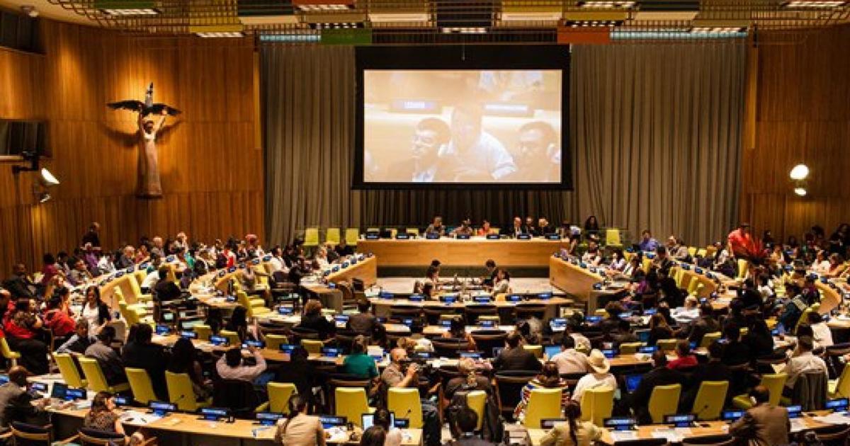 Supporting recommendations on indigenous peoples health and diabetes at ...
