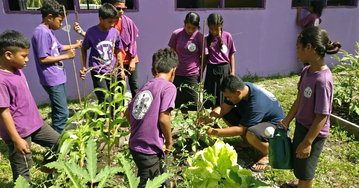 WDF funds six new projects in 2024 for NCD prevention and care